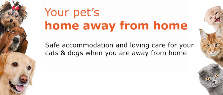 Mayville Animal Clinic - Vet in Pretoria North