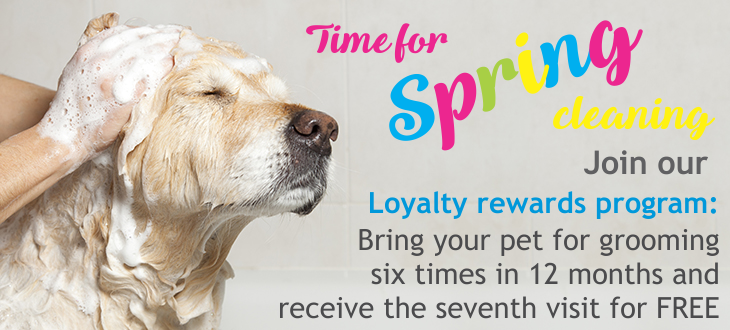 Mayville Animal Clinic - Vet in Pretoria North